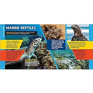 The Fascinating Ocean Book for Kids: 500 Incredible Facts! (Fascinating Facts)