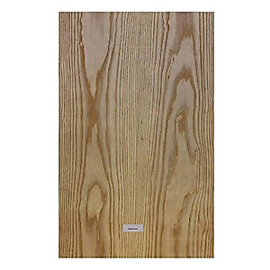 Generic Exotic Electric Guitar Body Blank Wood, Variety of Exotic Luthier Wood to Choose From (Ash)