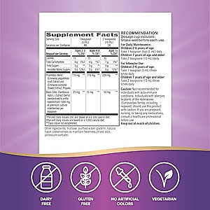 Nature's Way Sambucus Elderberry Immune Syrup for Kids Ages 2+, with Echinacea & Propolis, Daily Immune Support*, Vegetarian, Berry Flavored, 8 Fl Oz (Packaging May Vary)