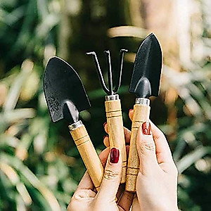 Gardening Tool Set (6 Pcs) Spade Shovel Rake for Garden Plants Care House Plants Flower Pot Cactus Vegetables Kids Indoor Small Plants Mini Medium Plant Tool Succulent Kit
