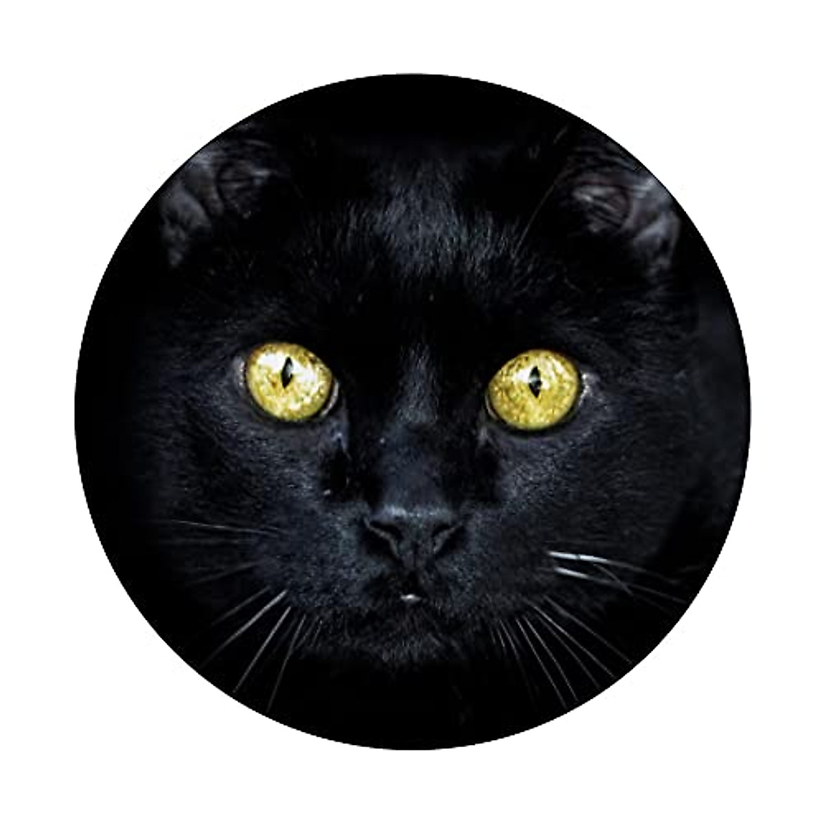 Black Cat Kitty Kitten PopSockets Swappable PopGrip