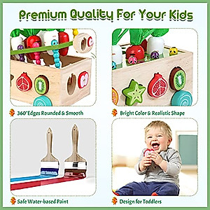 Bravmate Toddlers Montessori Educational Toys for Kids Age 2 3 4 Years Old, Shape Sorting Toys for Boys Girls 2-4, Wood Preschool Learning Fine Motor Skills Game