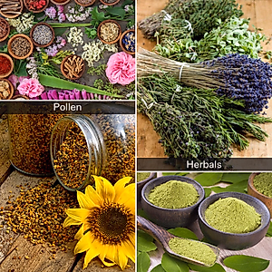 VIVOSUN Heavy Duty 2-in-1 Trimming Tray for Herbals Collecting, Dry Sift Screen Set with 150 Micron Fine Mesh Screen and 2 Trimming Scissors, Blue