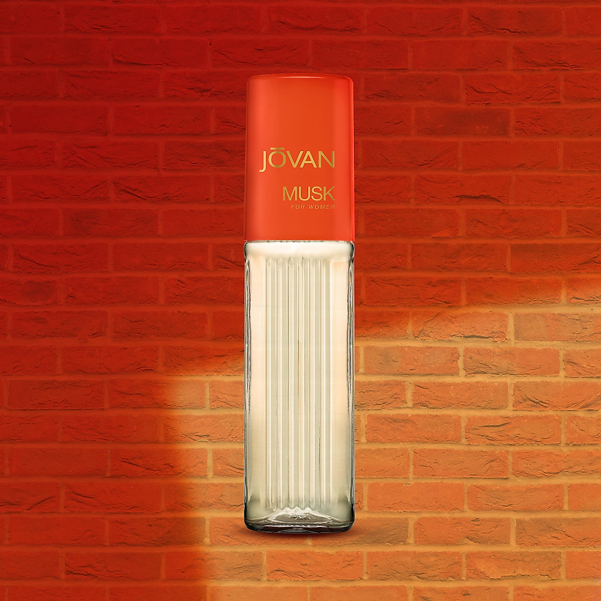 Jovan Musk for Women Eau de Cologne Spray 2 fl oz (Pack of 1), Notes of Jasmine, Amber, and Neroli, Women's Fragrance, Long Lasting, Everyday Fragrance, Travel Size