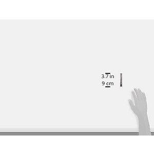 Unger RB100 Blades 10 cm