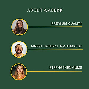 Ameerr Miswak Stick for Teeth | Natural Toothbrush | Natural Teeth Whitening Kit | Organically Grown Miswak | Vacuum Sealed with Holder | Pack of 12