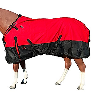 HILASON 600D Winter Waterproof Poly Pony Horse Blanket Red-56 Inches | Horse Blanket | Horse Blankets for Winter Waterproof | Horse Turnout Blanket | Horse Turnout