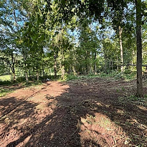 Backwoods Premium Wildlife Products Shady Patch - Premium Food Plot Seed Mix - 5 Pound Bag