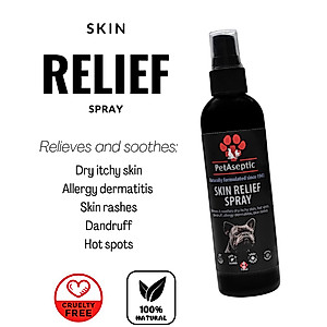 PetAseptic Skin Relief Spray for Dogs | Relieves Dry Itchy Skin, Hot Spots, Dandruff, Allergy Dermatitis, & Skin Rashes | Clear, Stainless, & Greaseless | Provides Fast, Temporary Relief | 4oz Spray