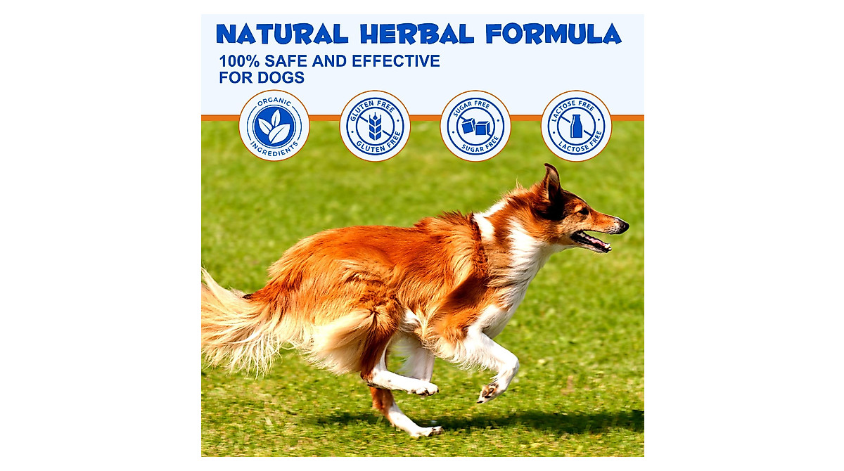 ZIXAOK Dog Joint Aid: Glucosamine & Chondroitin for Relief