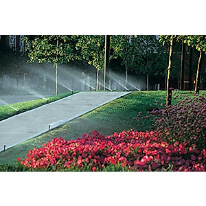 Rain Bird 1804NPPRS Pressure Regulating (PRS) Professional Non-Potable Water Pop-Up Sprinkler, Adjustable 0° to 360° Pattern, 8' - 15' Spray Distance, 4" Pop-up Height, Purple Cap