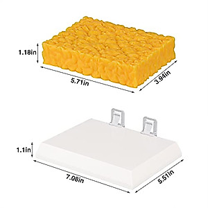 SimCoach Human Body Fat Replica 1 Lb, Keep Fit & Weight Loss Motivation & Reminder, Silicone Human Fatty Tissue Demonstration Model for Nutritionist, Athlete