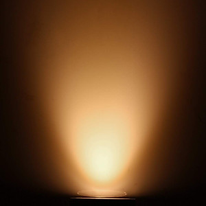 Rowrun E26 LED BULB PAR20 12W Soft White Dimmable 3000K COB Spot Light 24°Beam Angle Indoor Flood Light Range Hood Bulb 2-Pack