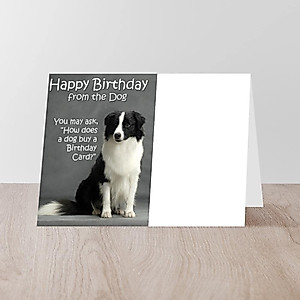 CafePress Border Collie Birthday Card Folded Greeting Card Matte