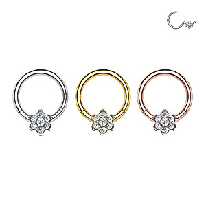 Pierced Owl 16-18GA G23 Implant Grade Titanium CZ Crystal Flower Cartilage Helix Daith Septum Nose Hinged Segment Ring (Silver Tone, 16GA / 8mm)