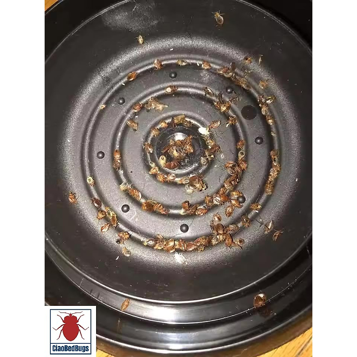 Generic Bed Bug Interceptors – 4 Pack | Bed Bug Interceptor Traps (Black) | Trap, Monitor, and Detector for Bed Legs