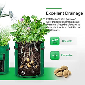 VIVOSUN 5-Pack 10 Gallon Potato Grow Bags, Fabric Pots with Handle and Roll-up Window, Green