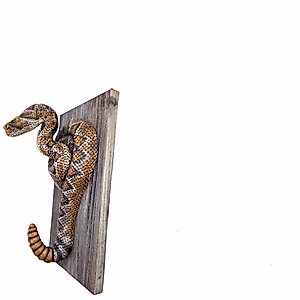 Rattlesnake Decorative Snake Wall Hook Single with Rustic Wood Base