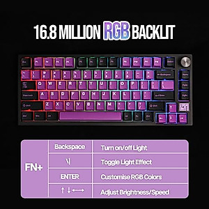 EPOMAKER TH80 SE Gasket 75% Mechanical Keyboard, NKRO Hot Swappable RGB 2.4Ghz/ Bluetooth 5.0/ Wired Gaming Keyboard with Poron/EVA Foam, 4000mah Battery (Black Purple, Flamingo Switch)