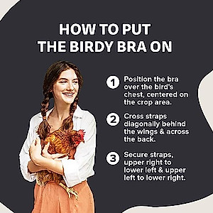 Birdy Bra Standard Chicken Hook-and-Loop Crop Bra, Black