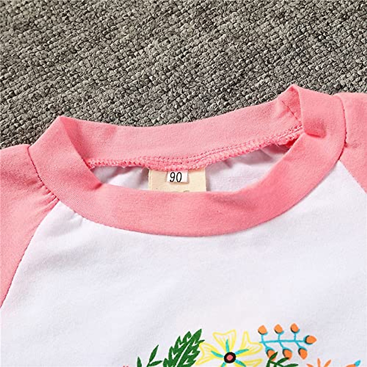 Big Sister Letter Print Blouse Tops Toddler Baby Girls Long Sleeve Garland T-Shirt (Pink, 2t)