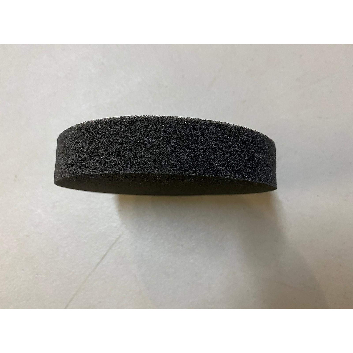 Replacement Part For Bissell 1700, 1701 Vacuum Cleaner PreMotor Filter # compare to part 1608225