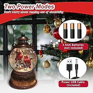 Christmas Snow Globe Lantern, Lighted Water Lantern with Music and 6 Hour Timer, USB Lined/Battery Powered Singing Lantern, Christmas Decor Gifts - Two Red Cardinals 10.4 in.