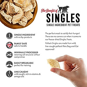 Grandma Lucy's Freeze-Dried Pollock Single Ingredient Dog and Cat Treats 1.5oz