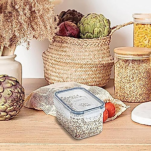 Kitchen Organizers and Storage, Single Clear Plastic Storage Containers with Lids Kitchen Airtight Jar, Sugar Flour Container Big and Small Food Bin for Kitchen Pantry Organizers and Storage (2000ML)