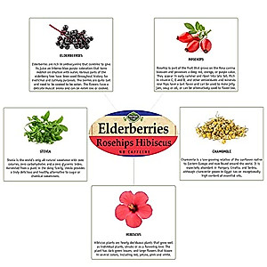 Herbal Cup Ayurveda Elderberries Tea, Organic Rosehips Hibiscus, No Caffeine Herbal Supplement (16 Count, Pack of 1)