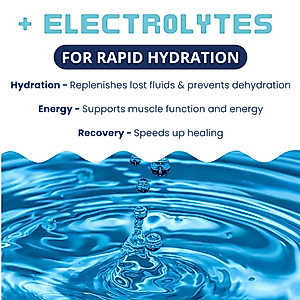 Under the Weather Bland Diet for Dogs | Easy to Digest Stomach Support for Sick Dogs | Contains Electrolytes, All Natural | 1 Pack - Turkey, Oatmeal, Sweet Potato & Slippery Elm for Dogs - 6oz