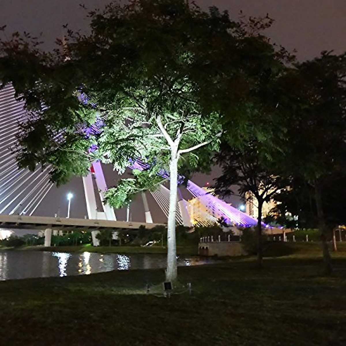 Mini 50X Twin Solar Spotlight (Cool White LED) Outdoor Waterproof Dimmable Dusk to Dawn for Garden Landscape Pathway Car Porch Entrance Lighting Uplight Downlight, Grey Finish