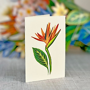 Freshcut Paper Pop Up Cards, Tropical Bloom, 12 inch Life Sized Forever Flower Bouquet 3D Popup Greeting Cards with Note Card and Envelope - Birds of Paradise & Lotus Blossom Flowers