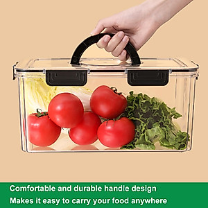 Taiuloo Airtight Fruit Storage Containers for Fridge with Lids & Handle, BPA-Free Food Storage Container with 4 Removable Colanders, Berry Vegetable Fresh Produce Saver, Refrigerator Organizer Bins