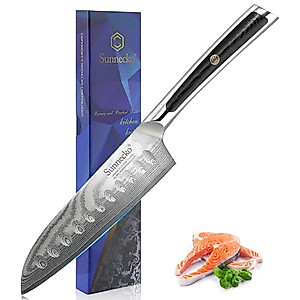 Sunnecko Kitchen Knife Japanese Damascus Santoku Knife 5 Inch,High Carbon Steel Cooking Knife Professional with G10 Handle