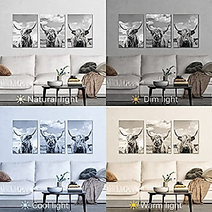 GDHBLING Grey Highland Cow Wall Art Rustic Wall Art for Bathroom Farmhouse Canvas Wall Art for Living Room 3 Piece Western Bedroom Wall Art 12x16 Inch