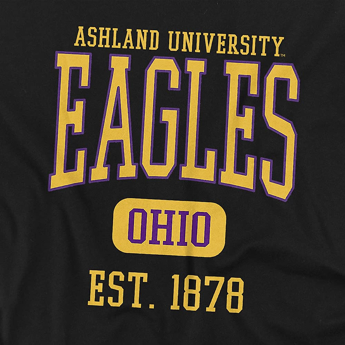 Ashland University Official Est. Date Unisex Adult T-Shirt, Black, 2X-Large
