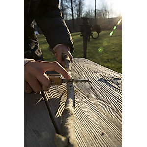 Kikkerland Huckleberry First Pocket Knife, Compact 4 in 1 Tools, Lightweight, Wood Handle, Stainless Steel, Keyring, For Camping, Hiking and Fishing