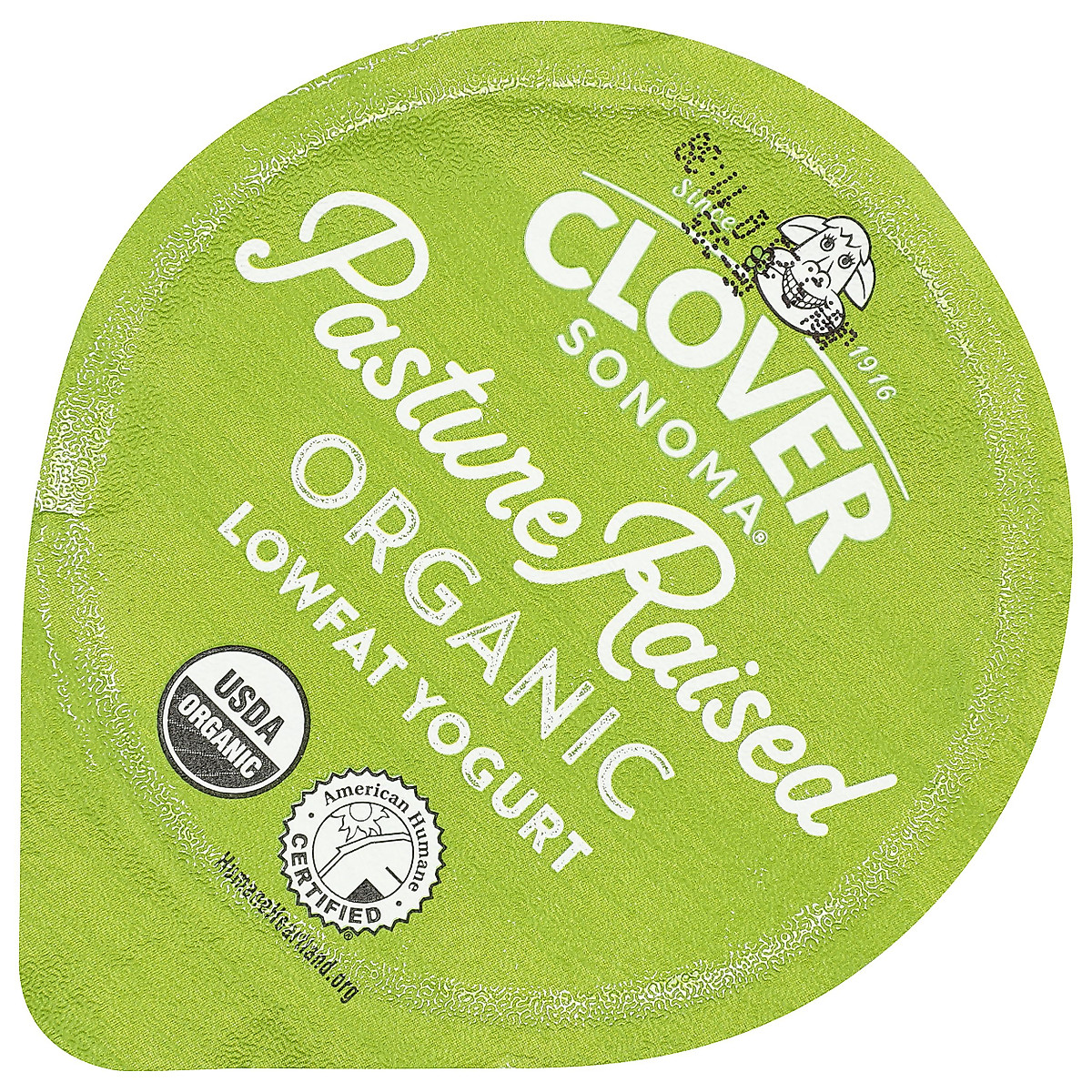 CLOVER SONOMA Organic Low Fat Strawberry Yogurt, 5.3 OZ