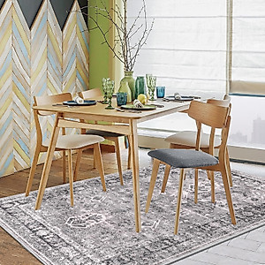 HEBE Washable Area Rug 3x5 Entry Rug Soft Distressed Area Rugs Non Slip Indoor Door Mat Boho Rug Oriental Accent Throw Rug Floor Carpet for Bedroom Kitchen Entryway Bathroom