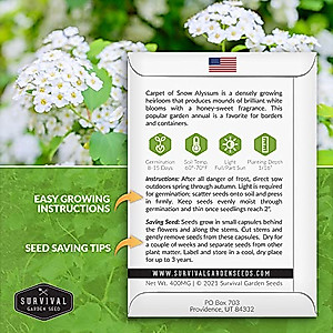 Survival Garden Seeds - Carpet of Snow Alyssum Seed for Planting - Packet with Instructions to Plant and Grow Lobularia maritima in Your Home Flower or Vegetable Garden - Non-GMO Heirloom Variety