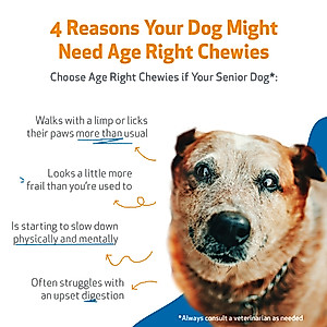 Pet Wellbeing Age Right Chewies for Dogs in Their Prime & Senior Years - Vet-Formulated - Daily Multifunctional Support for Joint Mobility, Immune, Heart Health, Shiny Coat, Energy - 90 Soft Chews