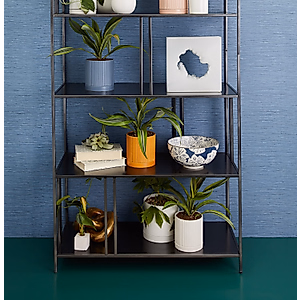 Greendigs Lemon Lime Dracaena Plant in White Ceramic Fluted 5-Inch Pot - Houseplant Pre-Potted with Premium Soil