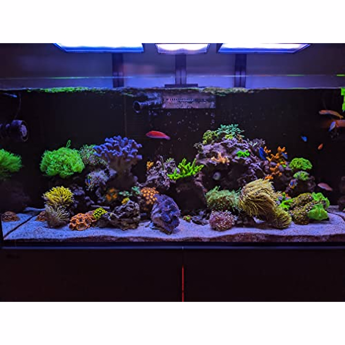 AI Hydra 26 HD and 32 HD Diffuser Shroud by 3DReefing