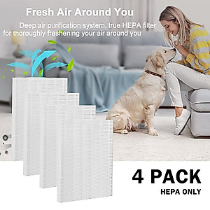115115 Size 21 True HEPA Replacement Filter A Compatible with Winix C535, Winix PlasmaWave 5300, 6300, 5300-2, 6300-2, P300, AM90, 4 Pack True HEPA Filter Only