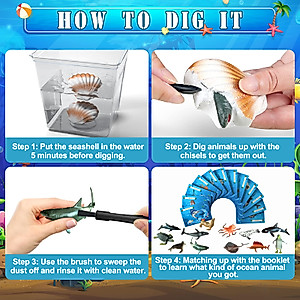 EARTH'SCODE Ocean Animals Dig Kit, Seashell Excavation Dig Bricks, Science Educational Gift for Kids