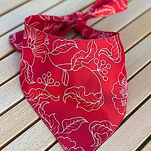 Small Dog Bandanas, DORUI 4 Pack Pet Bandanas, Premium Durable Fabric, Unique Design, Adjustable Scarf for Cat Puppy Small Dogs(Small)