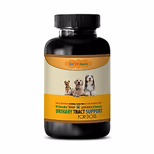Bladder Support for Dogs - Dogs Urinary Tract Support - Maintain Health Function - CHEWABLE - uva Ursi for Dogs - - dog supplements & vitamins - dog vitamins and multivitamins - 90 Treats (1 Bottle)