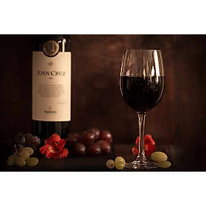 Elegant Plastic Wine Glasses by Savona | Unbreakable Wine Glasses | Ideal for Indoor/Outdoor Use | 100% Tritan Shatterproof Wine Glasses | Set of 4)