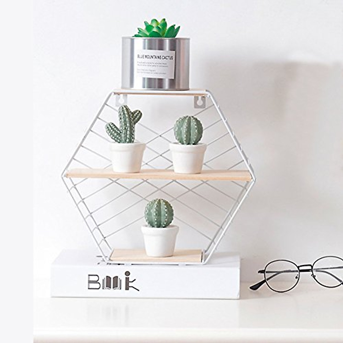 Doremy Floating Shelf,Wall Mounted Modern Simple Geometry Wood Metal Wire Hexagon Plant Flower Wall Decoration Wall Storage Shelves Display Racks Perfect for Bedroom,Living Room,Office (White)